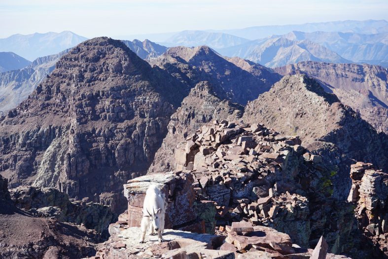 Pyramid Peak - Aspen Expeditions