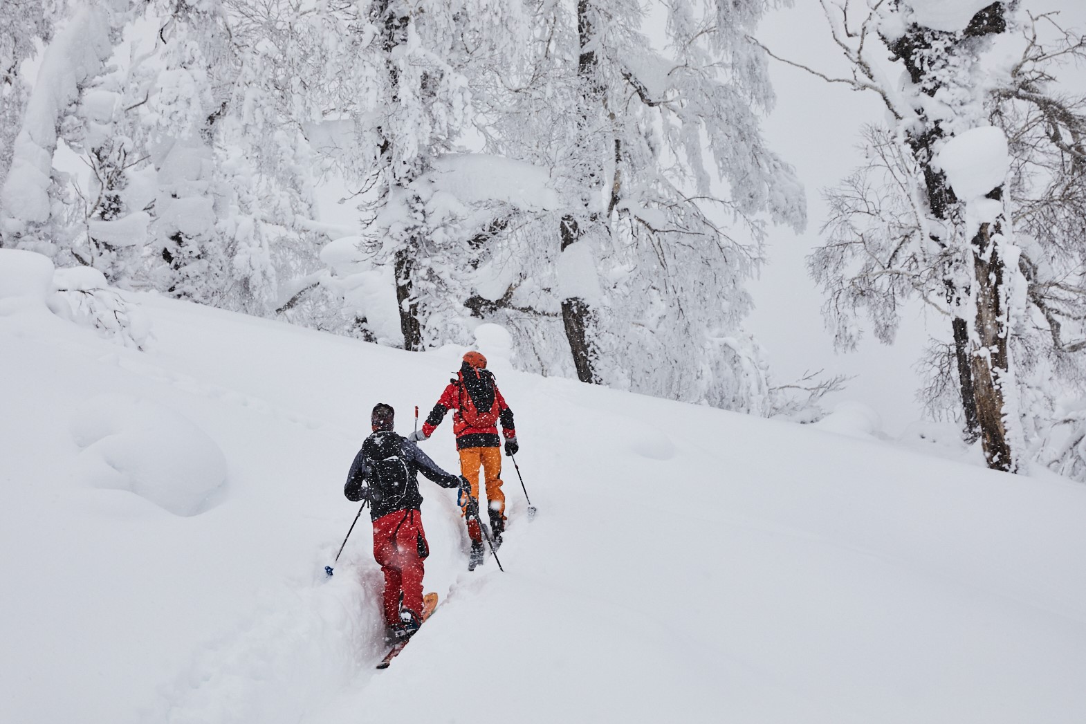 Japow: Japan Powder Skiing - Aspen Expeditions